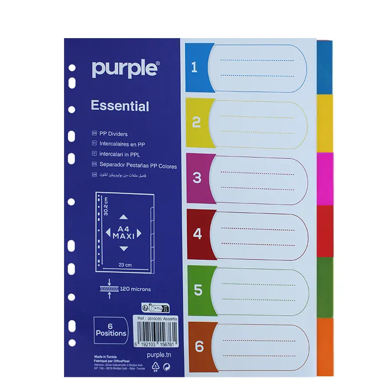 Inter séparation de 6 positions A4 Maxi Purple Essential - SYNOTEC